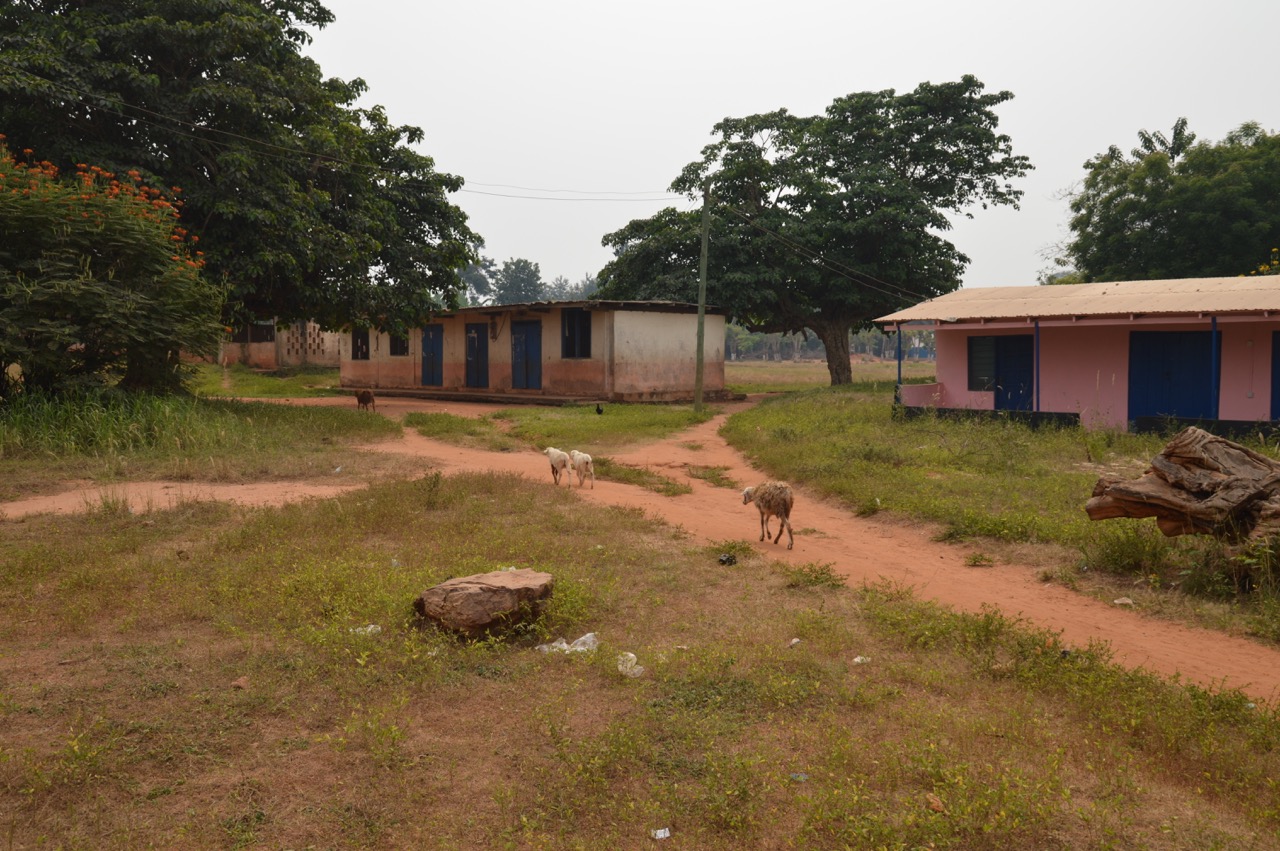 Field Work: Adjena Revisited | Transnational Architecture Group