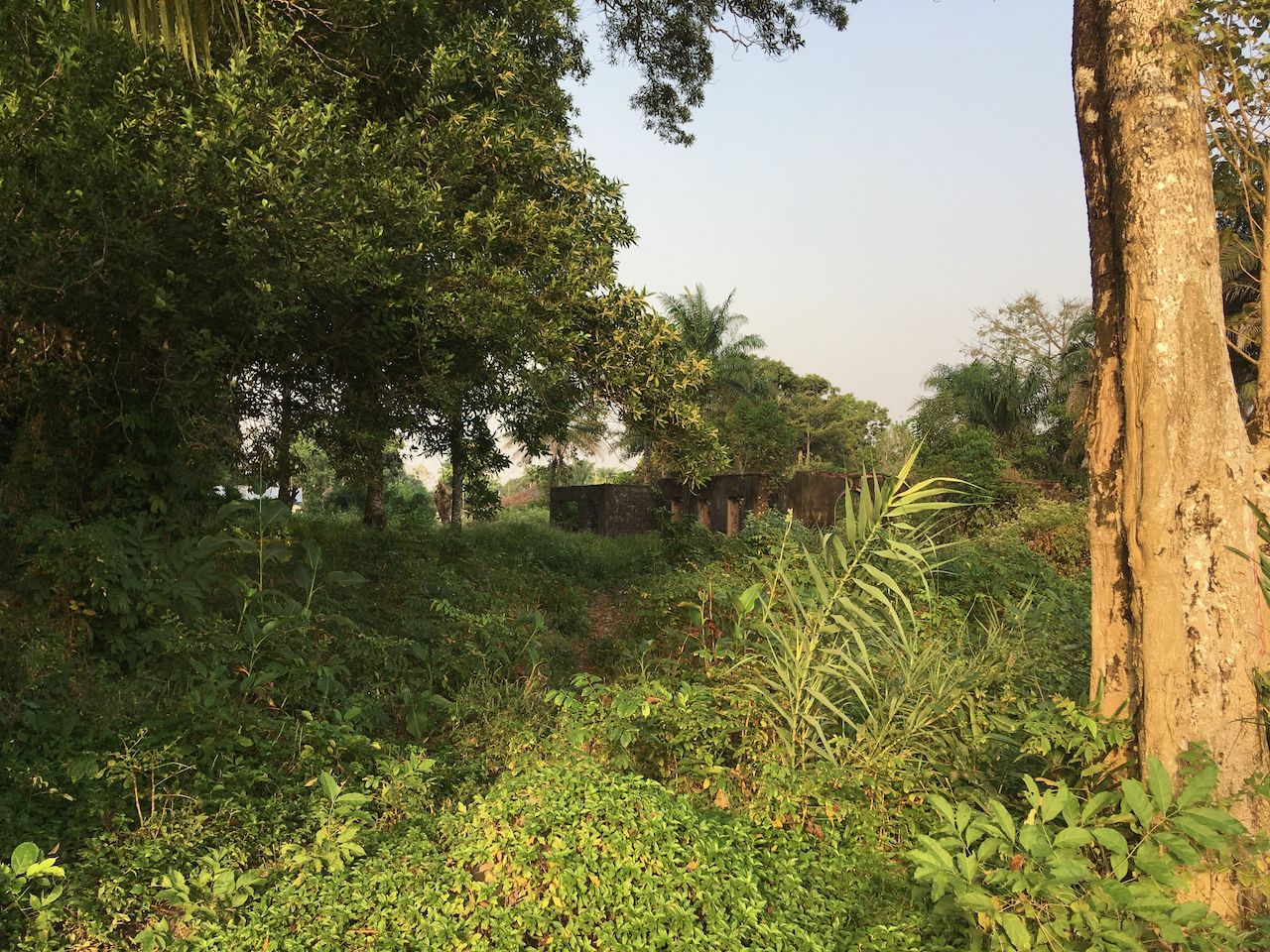 Bonthe on Sherbro Island, Sierra Leone | Transnational Architecture Group